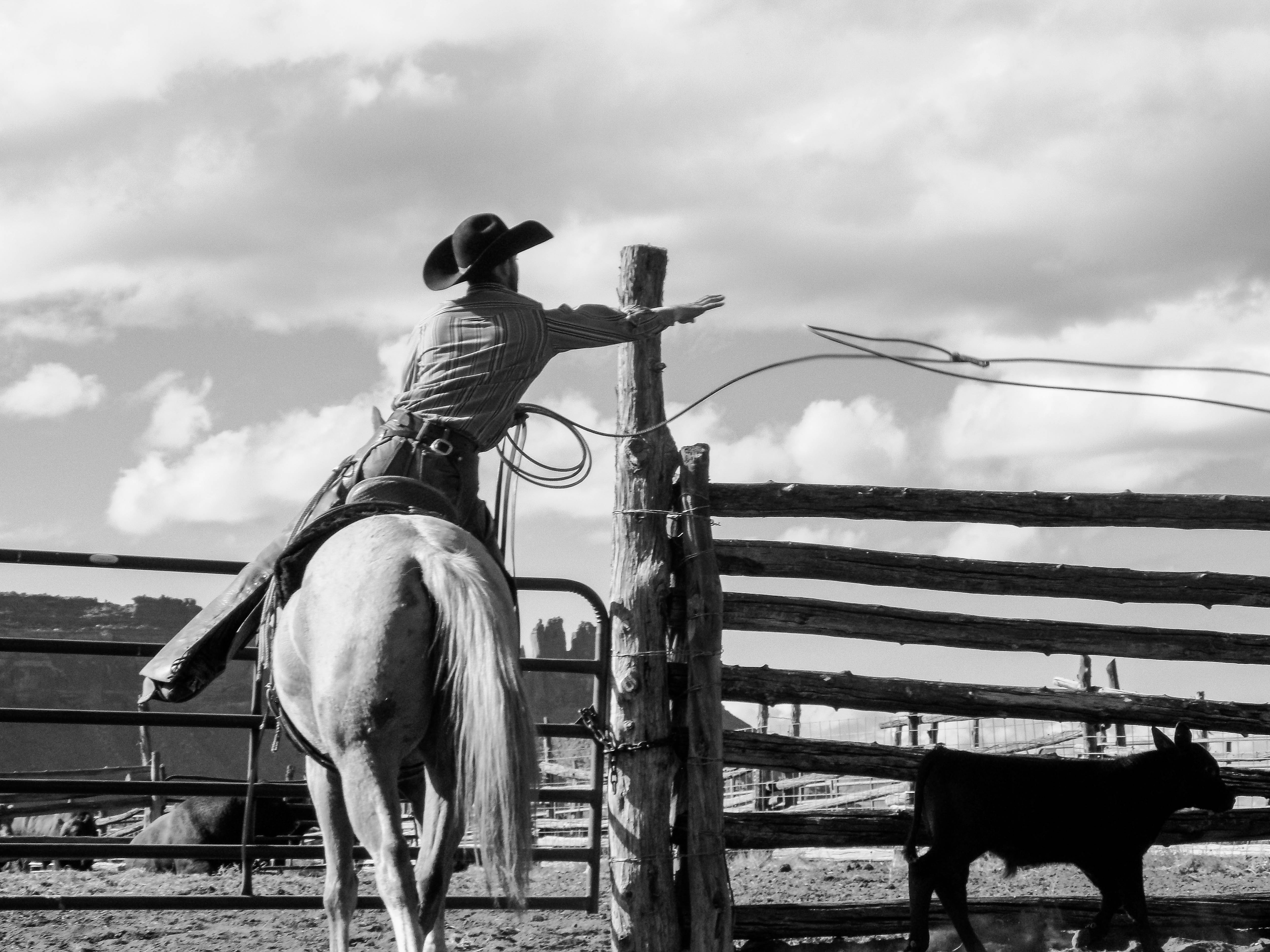 Ready To Ship – Alyssa Wilcox Photography