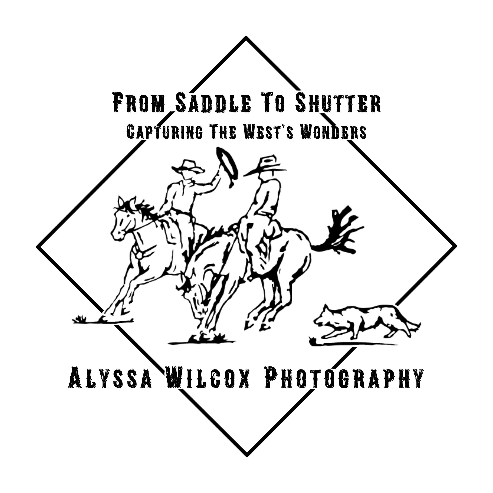 Western Lifestyle Photography & Gift Shop – Alyssa Wilcox Photography