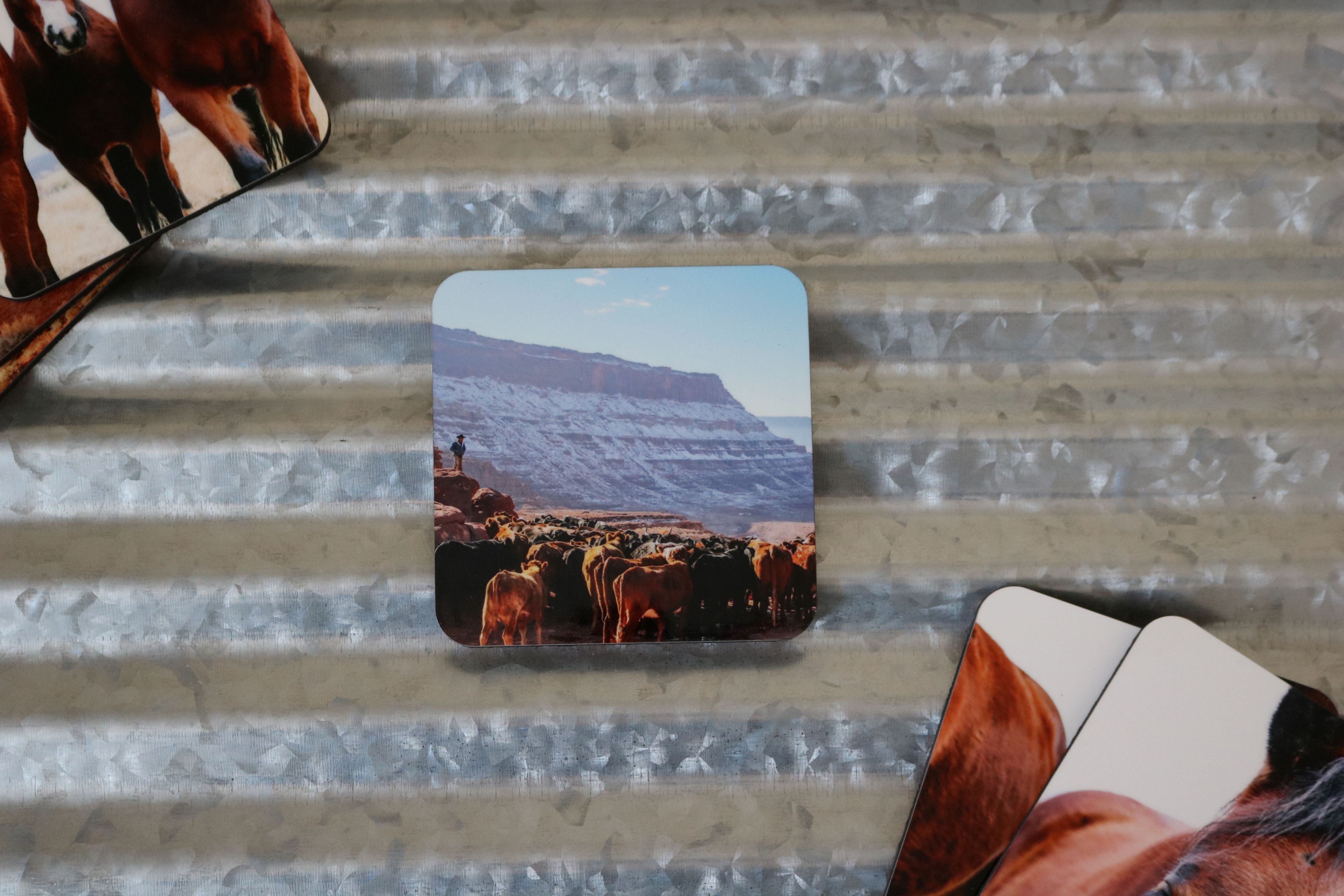 Single Coasters – Alyssa Wilcox Photography