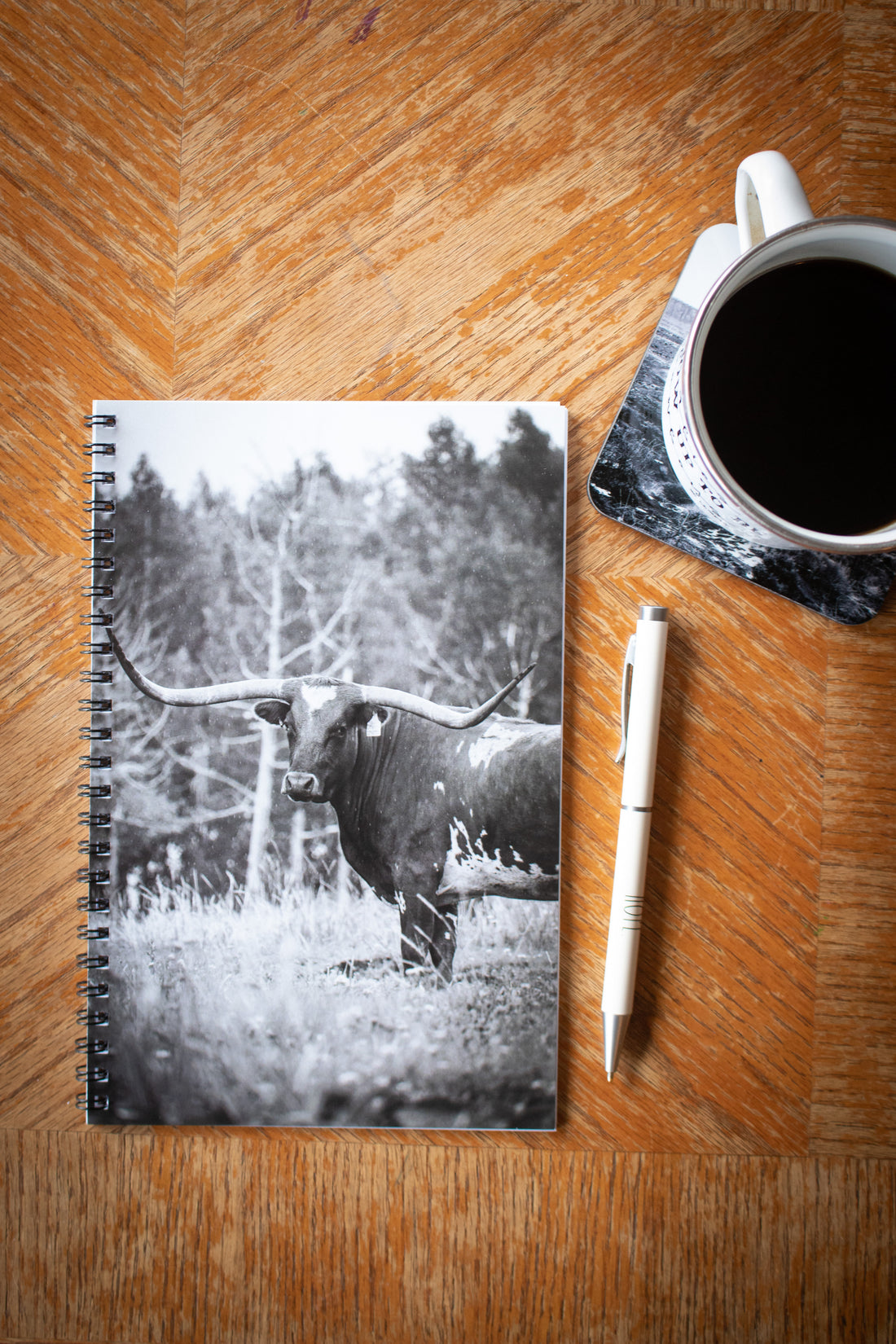 Western Longhorn Notebook – Alyssa Wilcox Photography