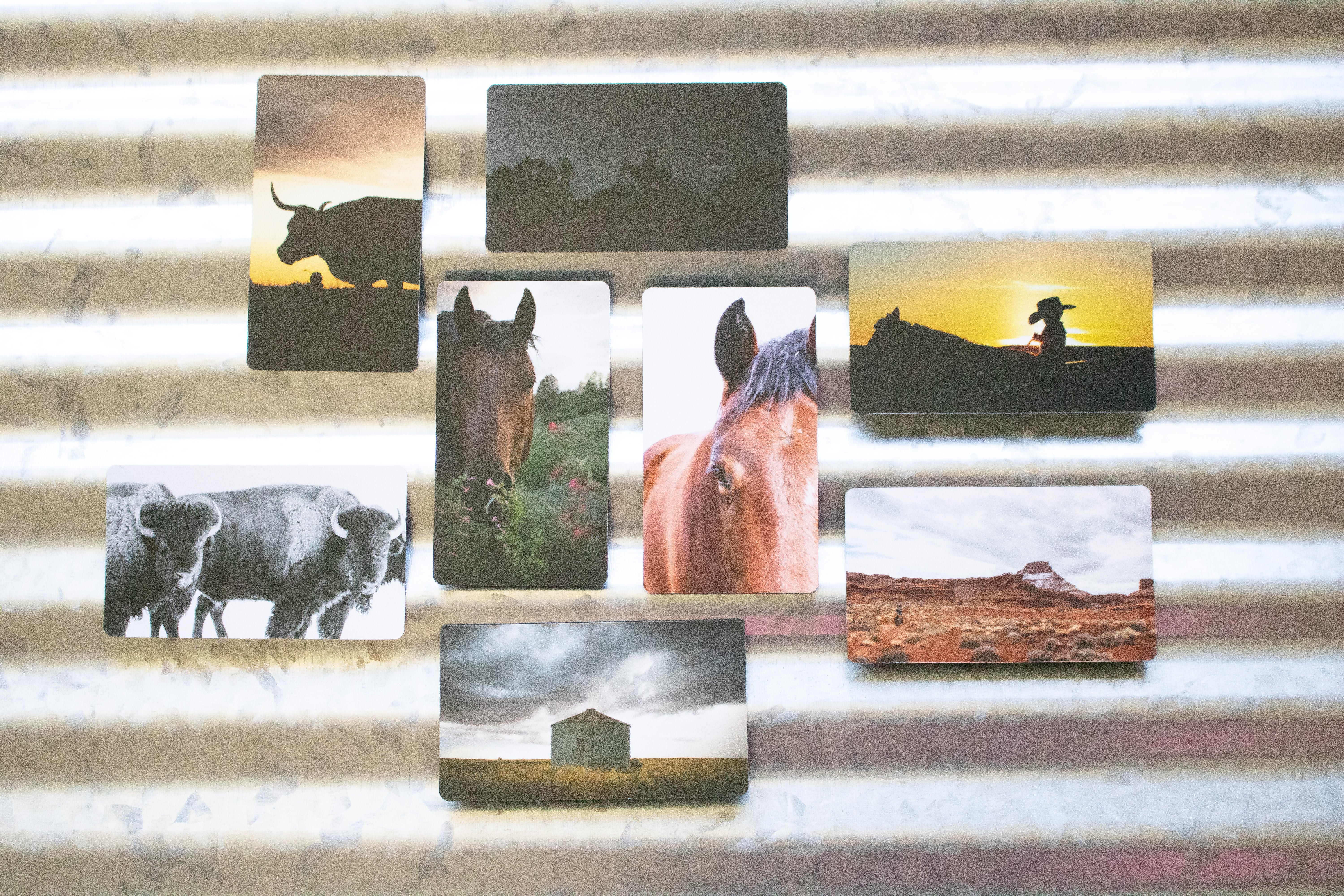 Western Magnets – Alyssa Wilcox Photography