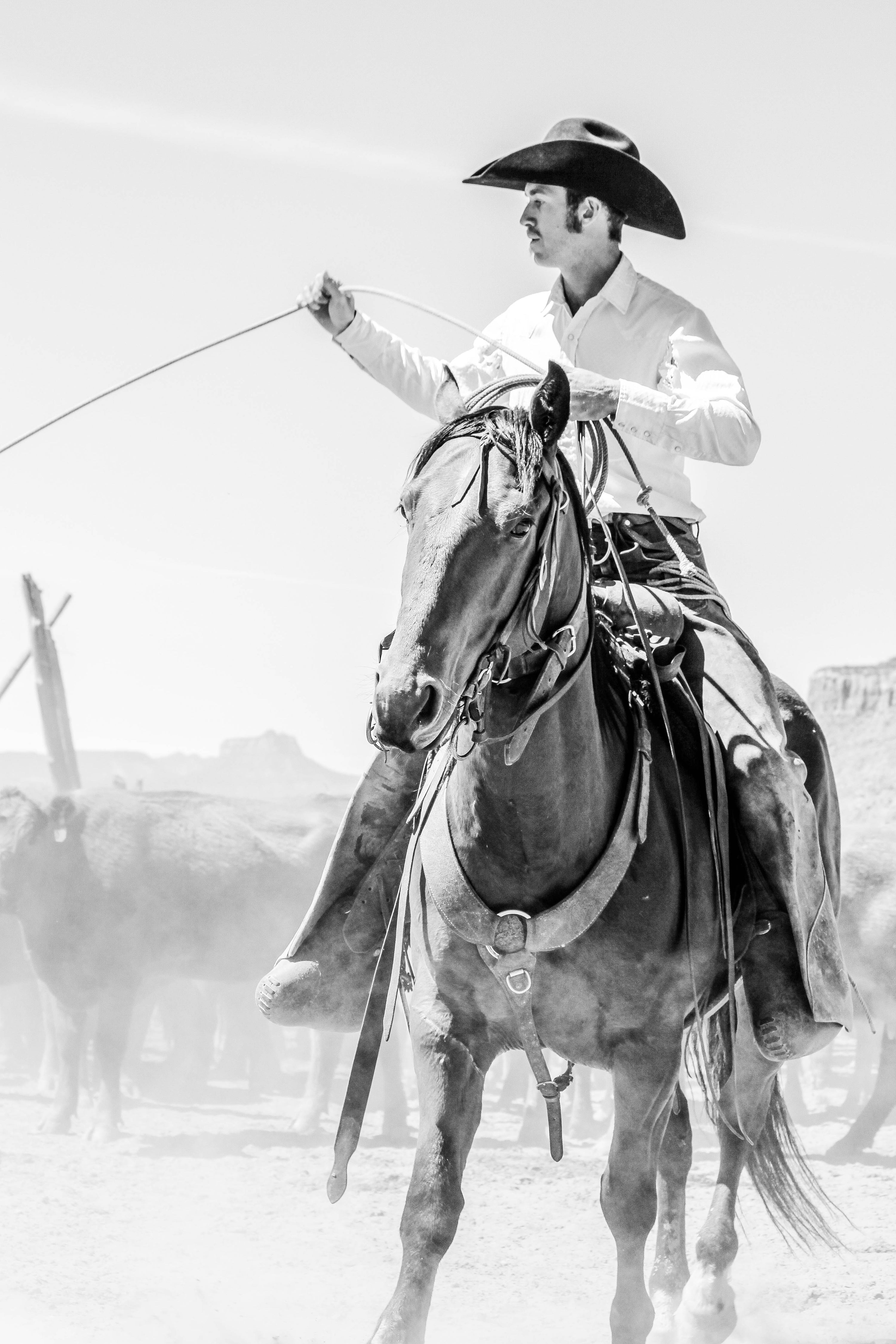Portfolio – Alyssa Wilcox Photography